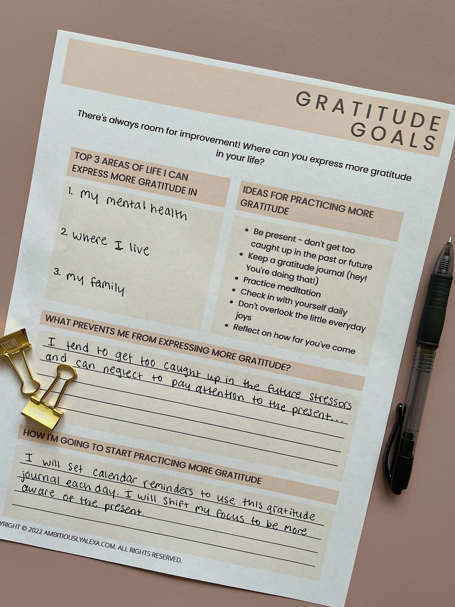 The Best Gratitude Journal PDF for Instant Happiness - Ambitiously Alexa