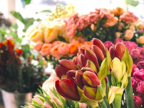 36 Positive Spring Affirmations for a Breath of Fresh Air - Ambitiously ...