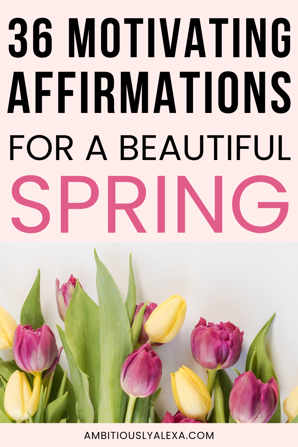 36 Positive Spring Affirmations for a Breath of Fresh Air - Ambitiously ...